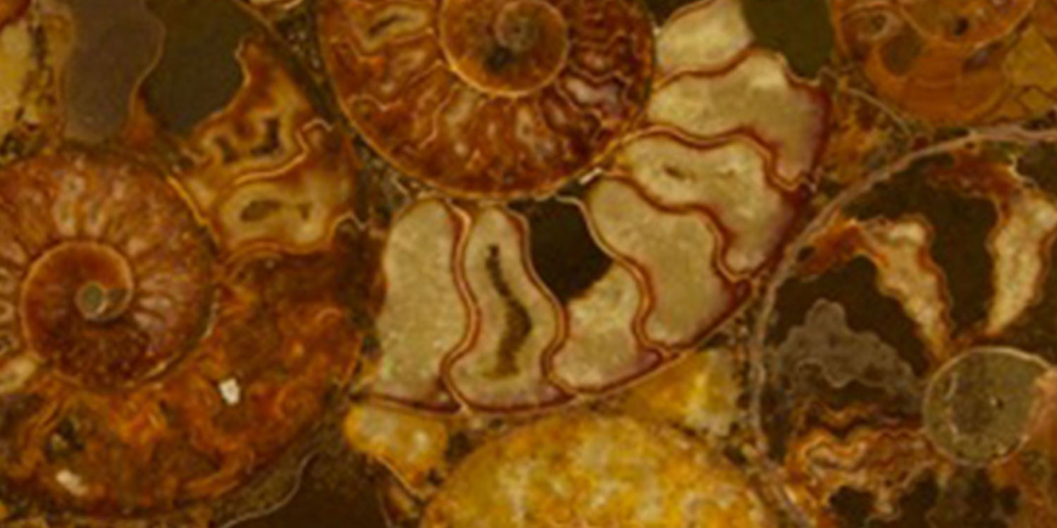 Mont Surfaces Collection | Precious Stone Countertops in Columbus
