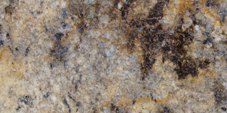 Mont Surfaces Collection | Granite Kitchen Countertops