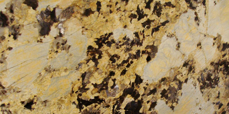 Mont Surfaces Collection | Quartzite