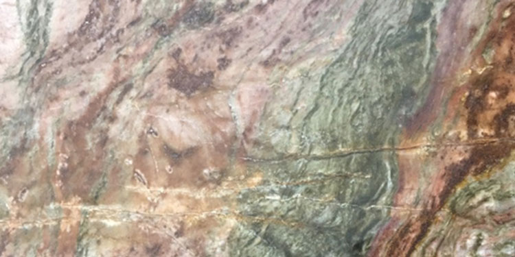 Mont Surfaces Collection | Quartzite