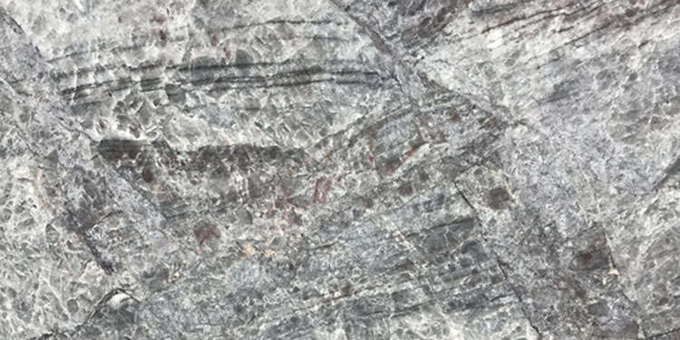 Mont Surfaces Collection | Quartzite